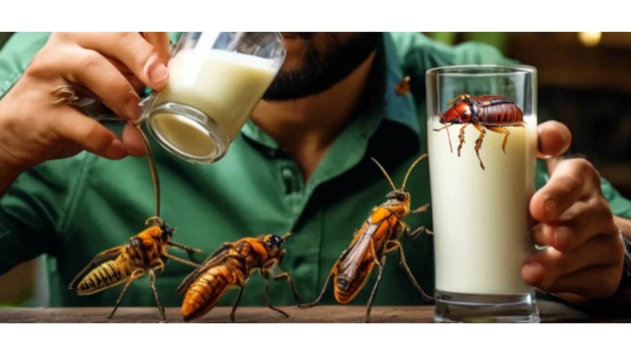 Zooming In With Dan April 4 2025 DRINK zee bugs Cockroach Milk The Next Superfood