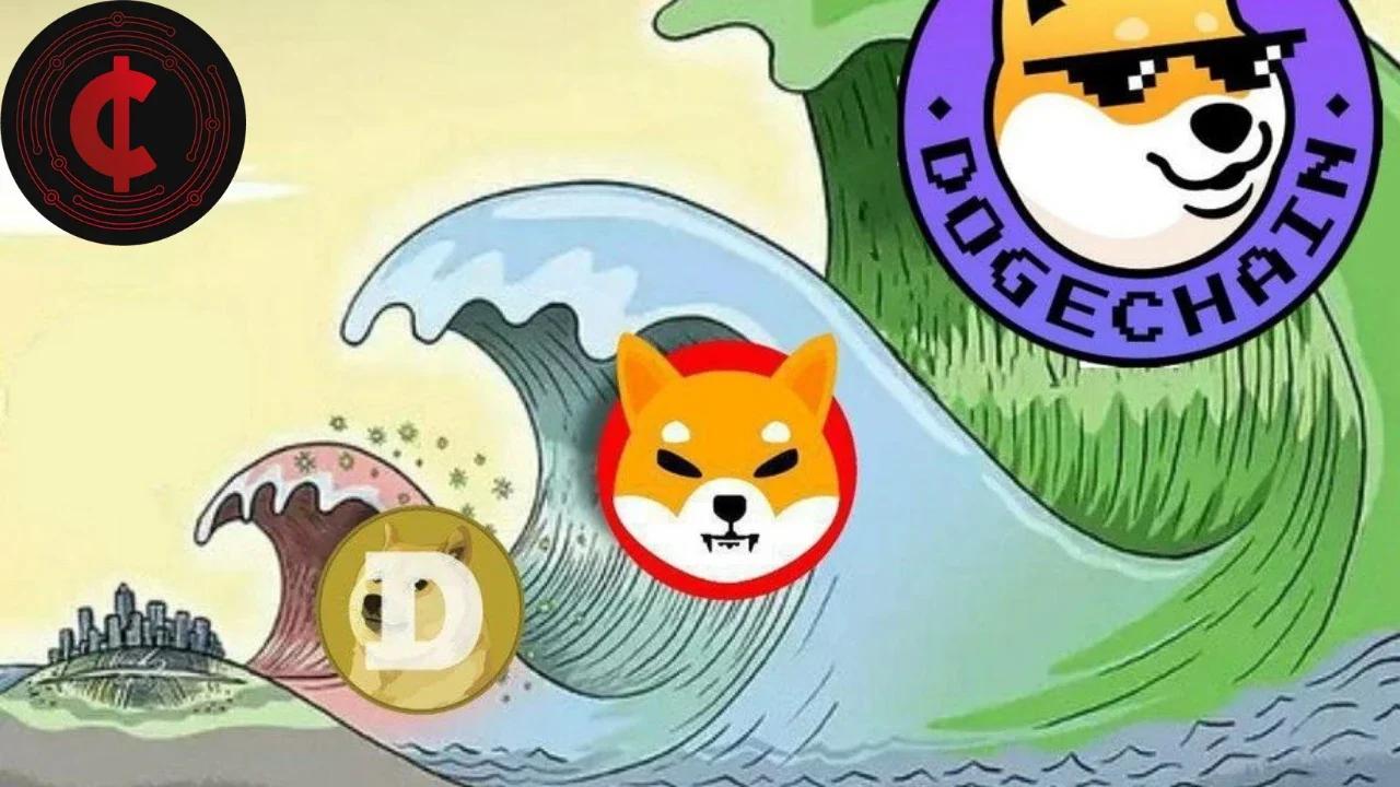 Dogecoin et Dogechain les nouveaux MEME coins ou marché des NFT plus grand?