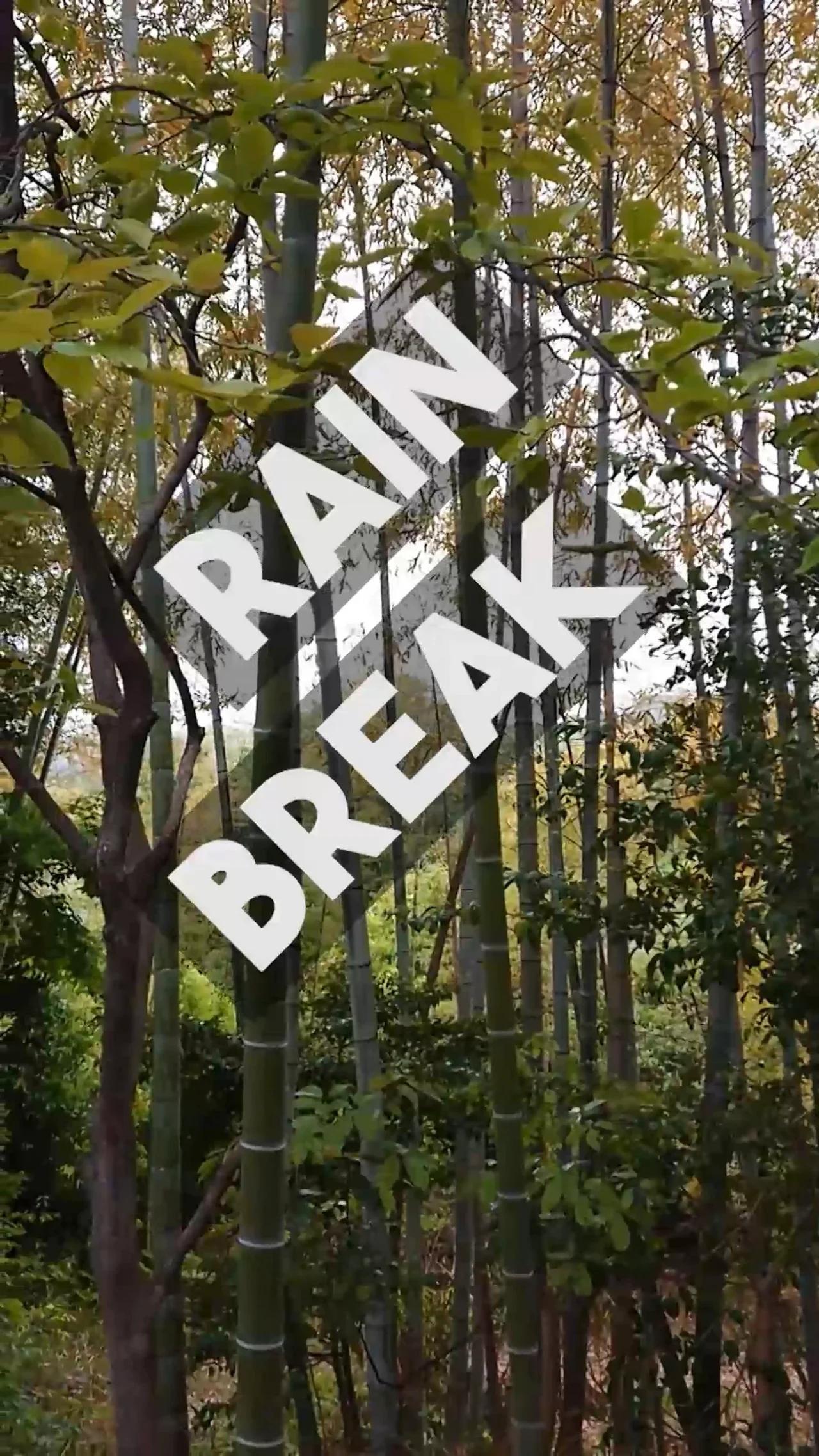 Rain Break