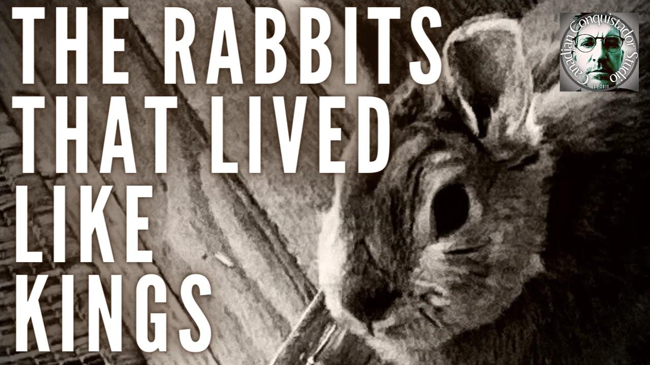 Raising Rabbits in a Hobbit House