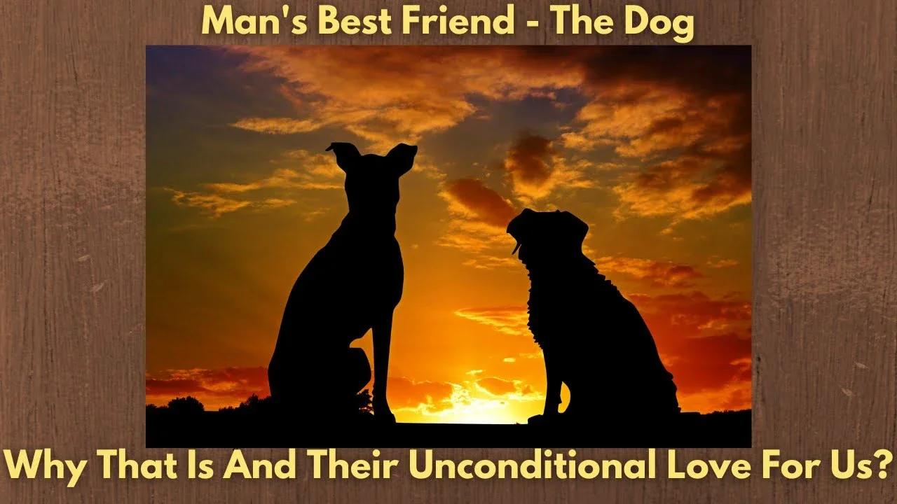 The Relationship Between Man And Canine - A Talk About Our Bond And The ...