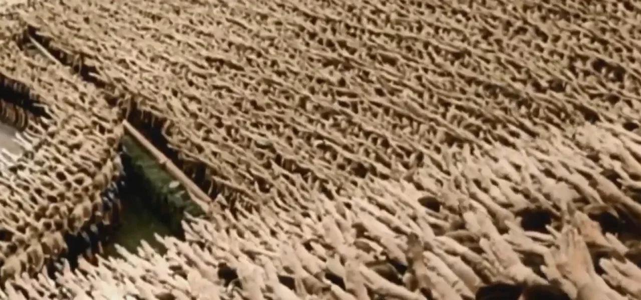 (IMPRESCINDIBLE VER) Discurso de Hitler sobre el ascenso de Alemania