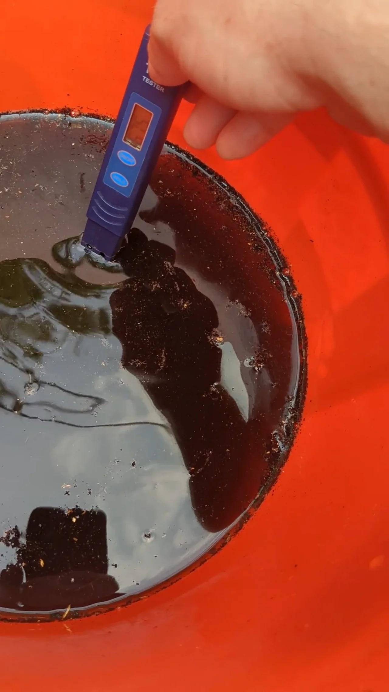 Making Compost Tea The Easy Way