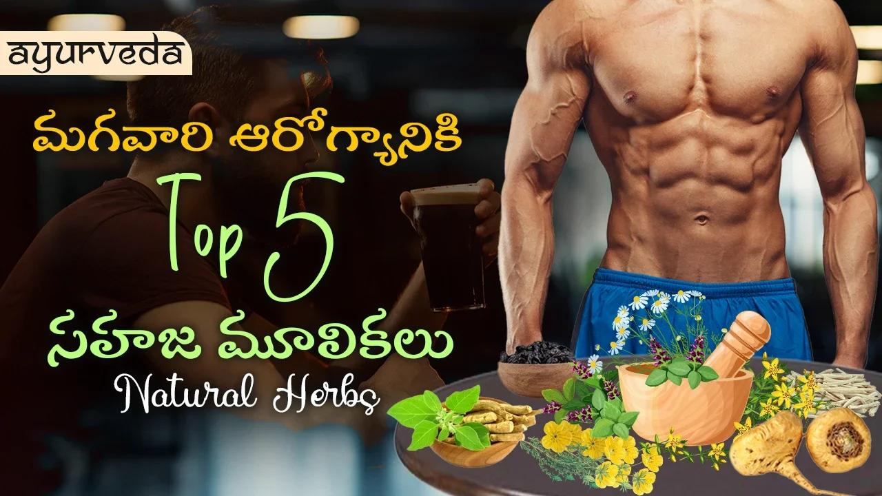 Top 5 Ayurveda Herbs for Men's Sexual Health Like Crazy _ Stress & Anxiety _ Vigor & Vitality