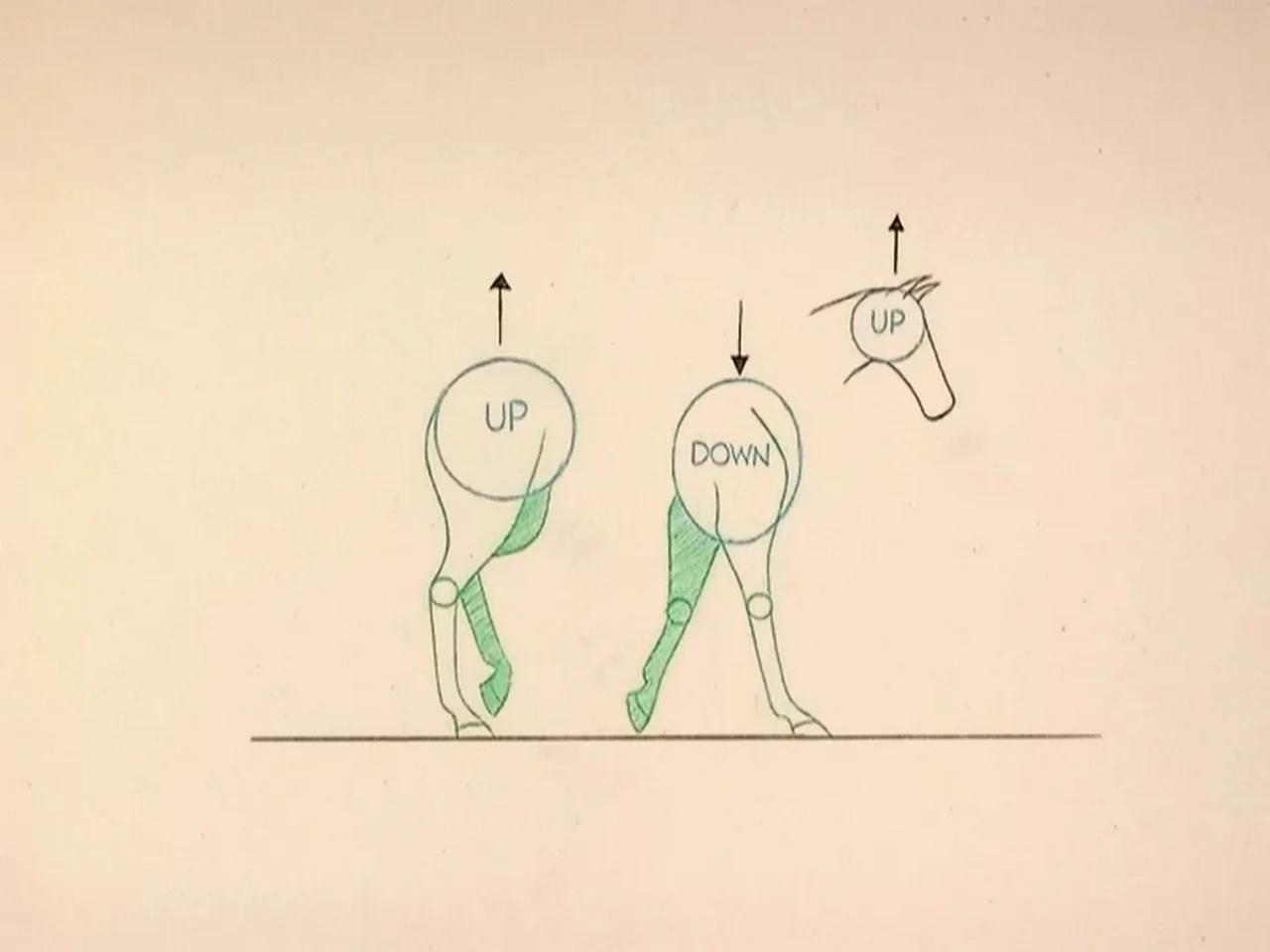 Richard William's The Animator's Survival Kit Animated Part 16: Putting ...