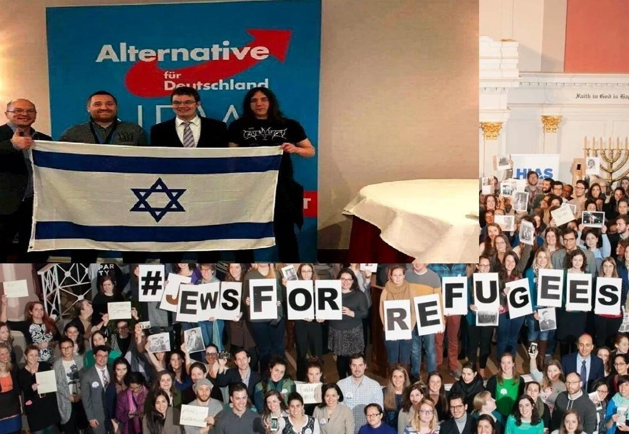 Afd Alternative for JEWS (that bring Refugees)