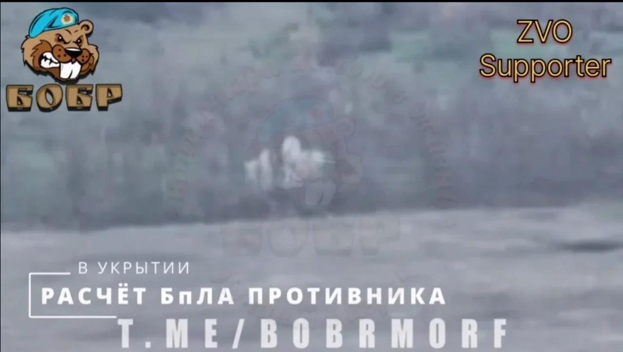 🎥-A 🇬🇧&🇫🇷, The work of the Mighty Beavers continues - BOBR