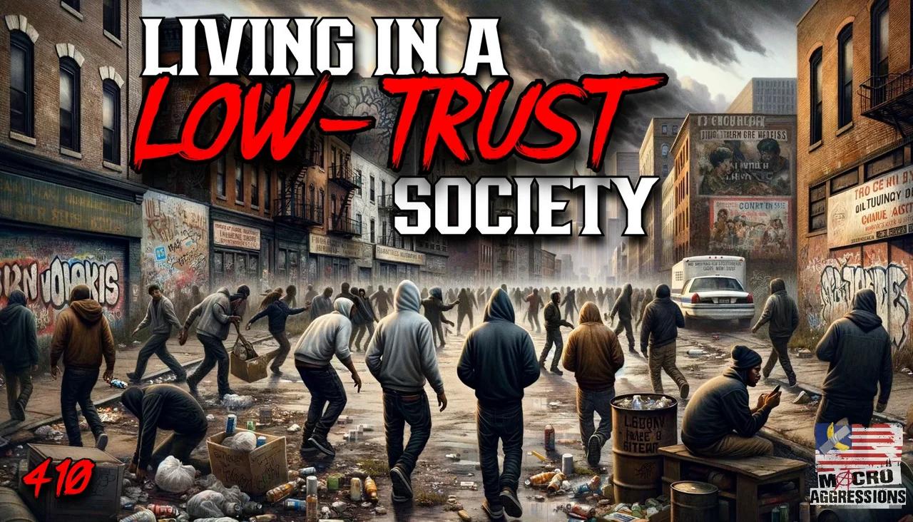 #410: Living In A Low-Trust Society (Clip)
