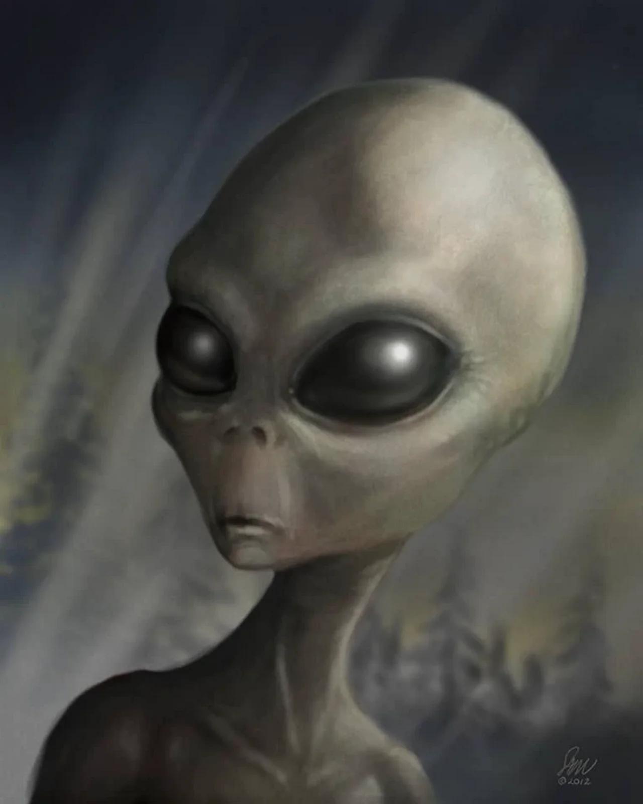 UFO Myths, Facts, and Fun