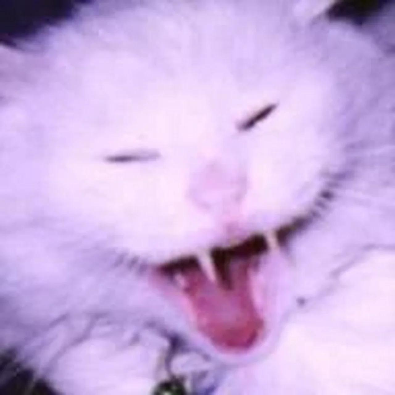 RexCarr_stuntdriver4hire