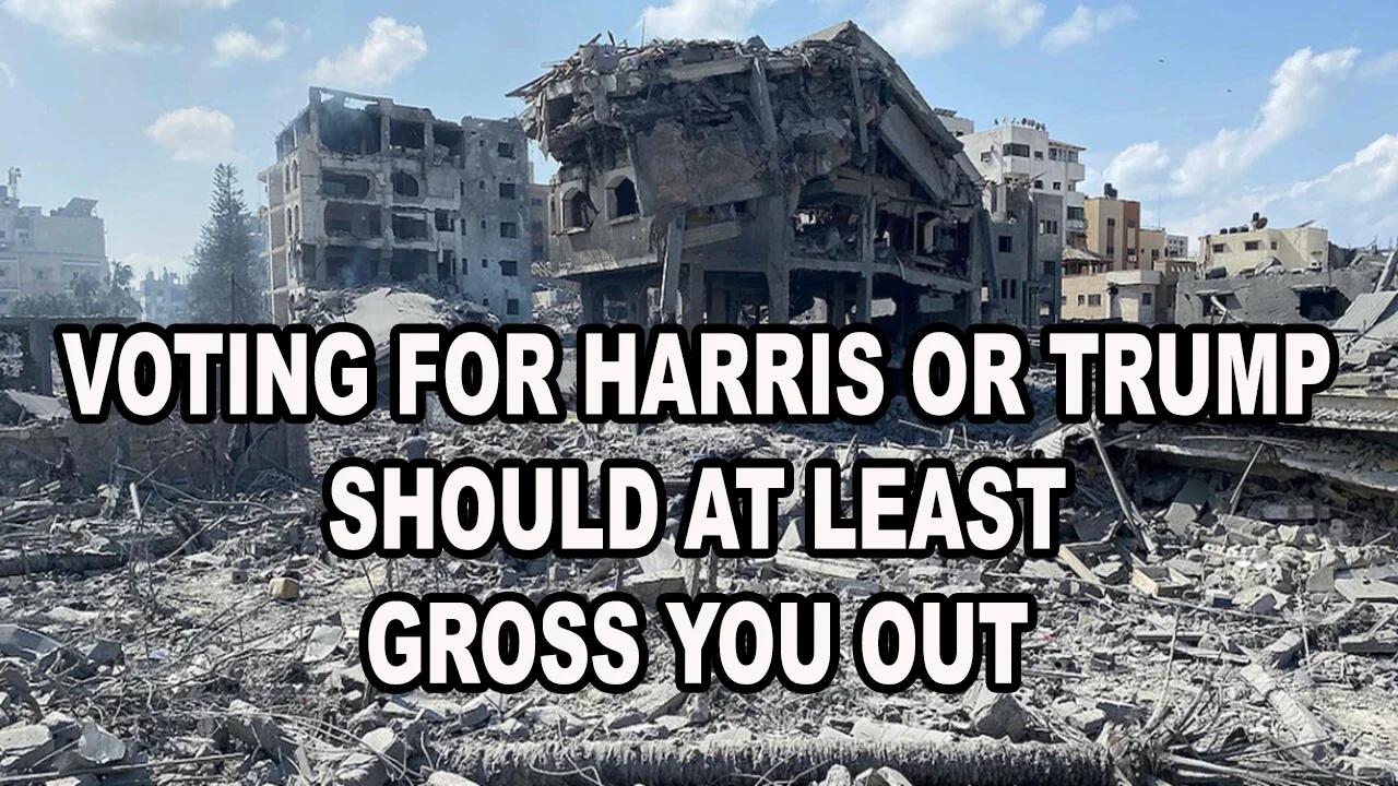 If You Vote For Harris Or Trump You Should At Least Have The Decency To ...