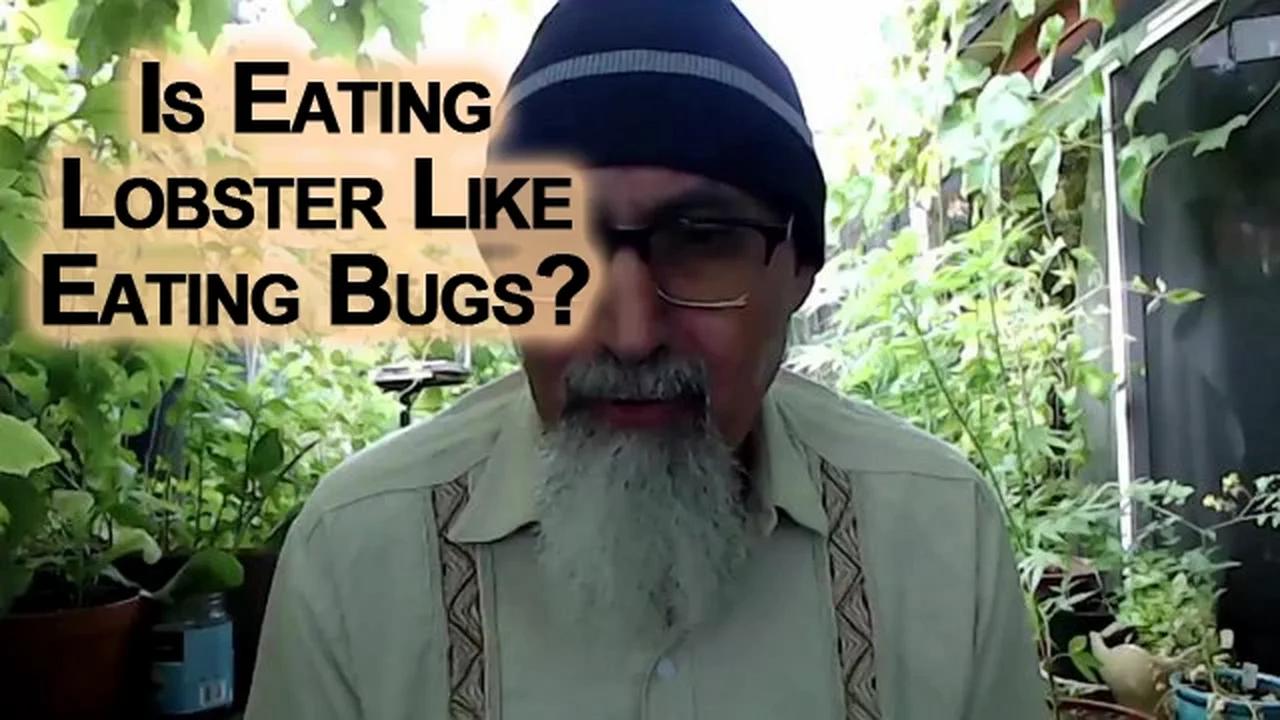 Is Eating Lobster Like Eating Bugs? The True Value of Diamonds: WEF ...