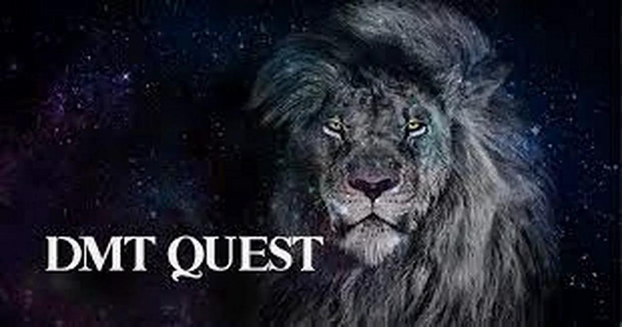DMT Quest Documentary