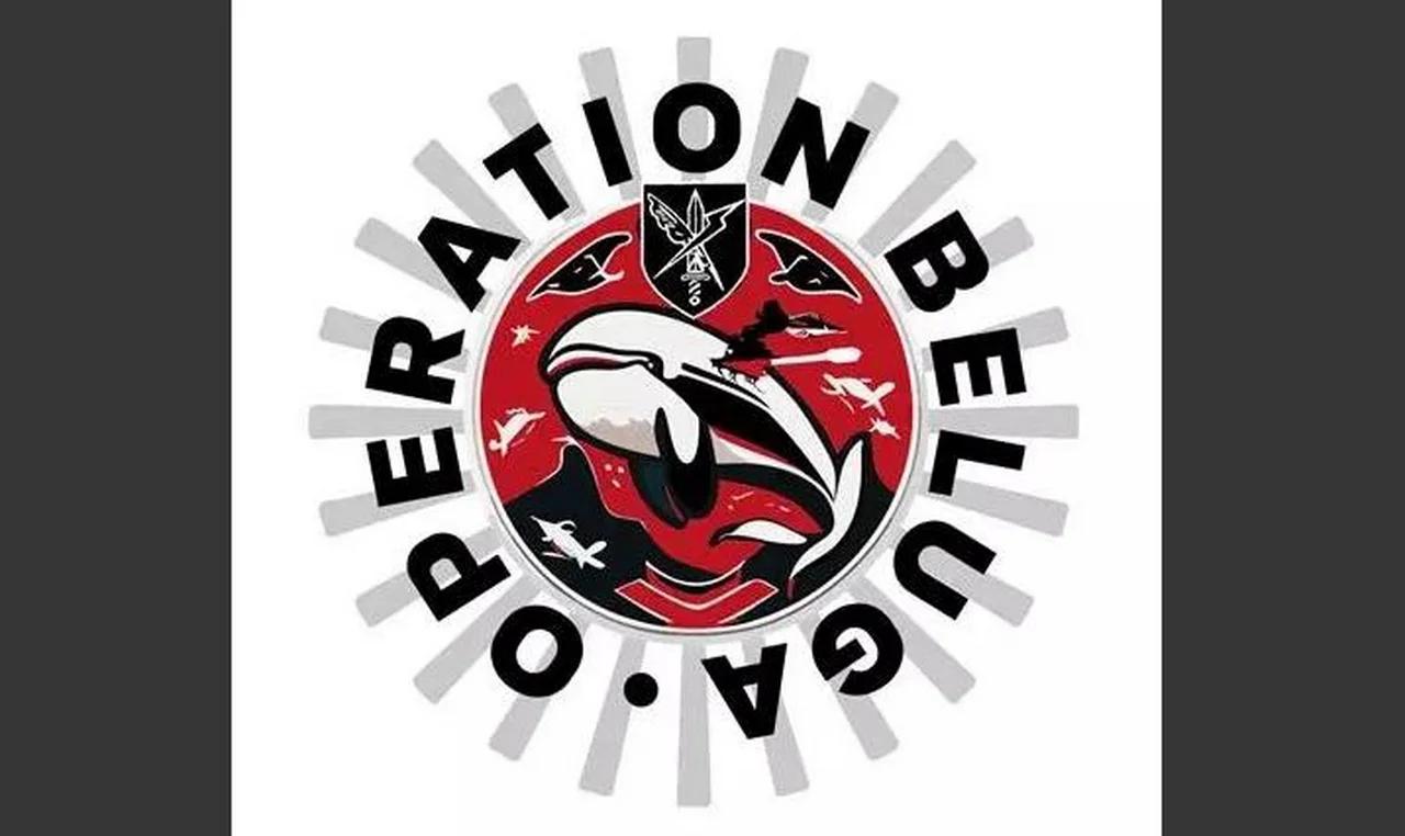 Have you heard of Operation Beluga
