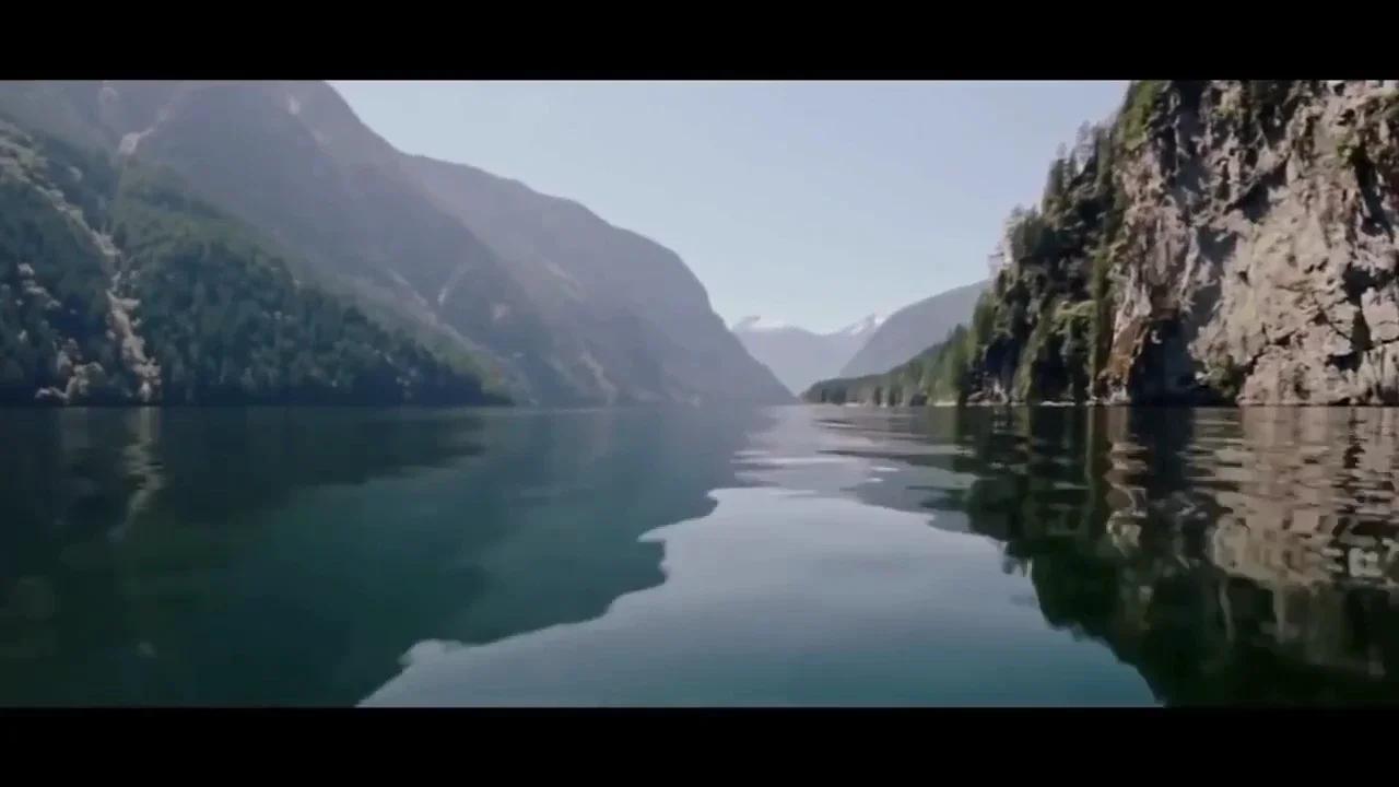 Race and IQ Mein Kampf