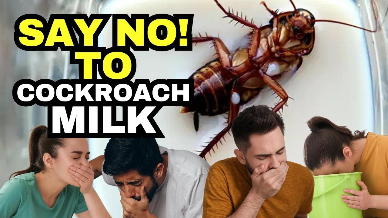 Say NO! To Cockroach Milk