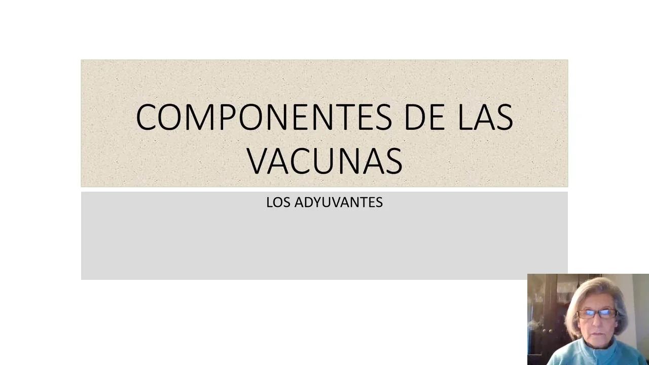 Componentes de las Vacunas. Los Adyuvantes