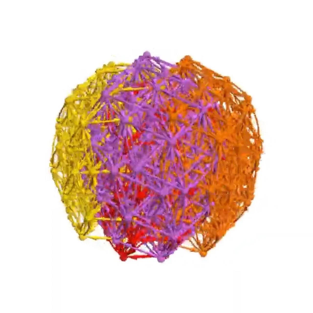 The Ruliad Awakening