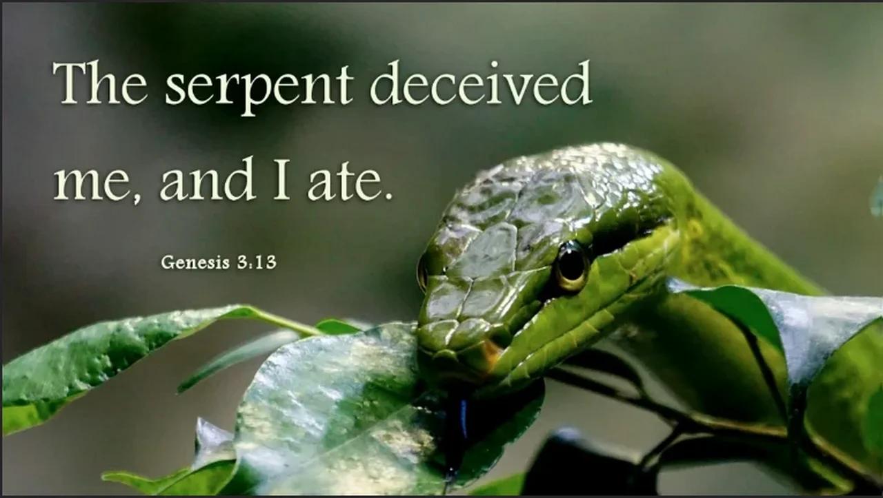 Genesis Chapter 3. The serpent tempts eve. (SCRIPTURE)