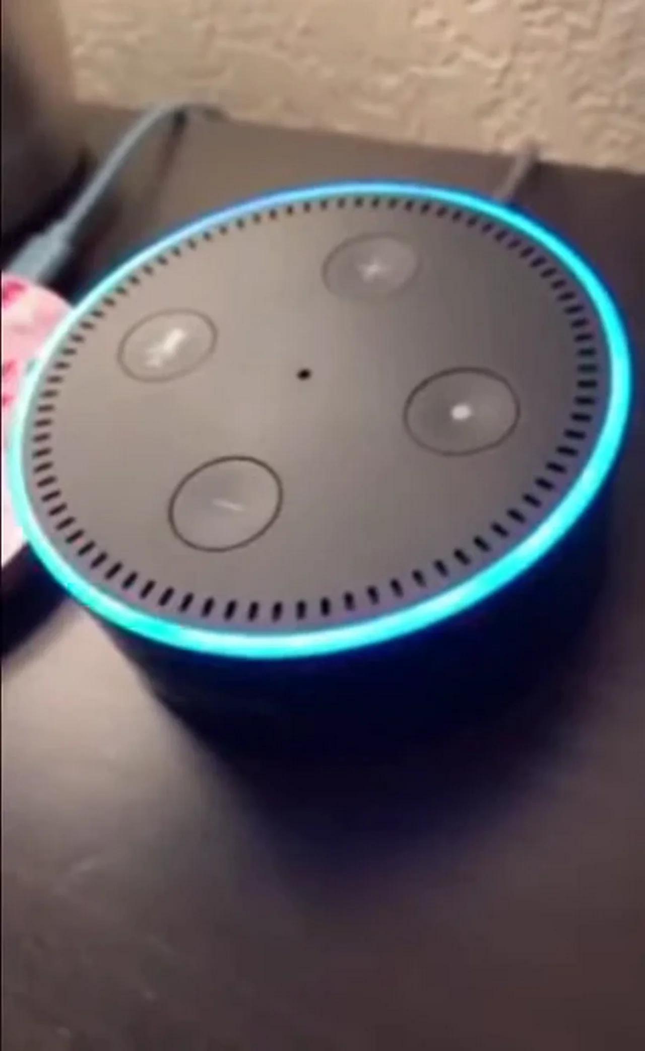 alexa fart