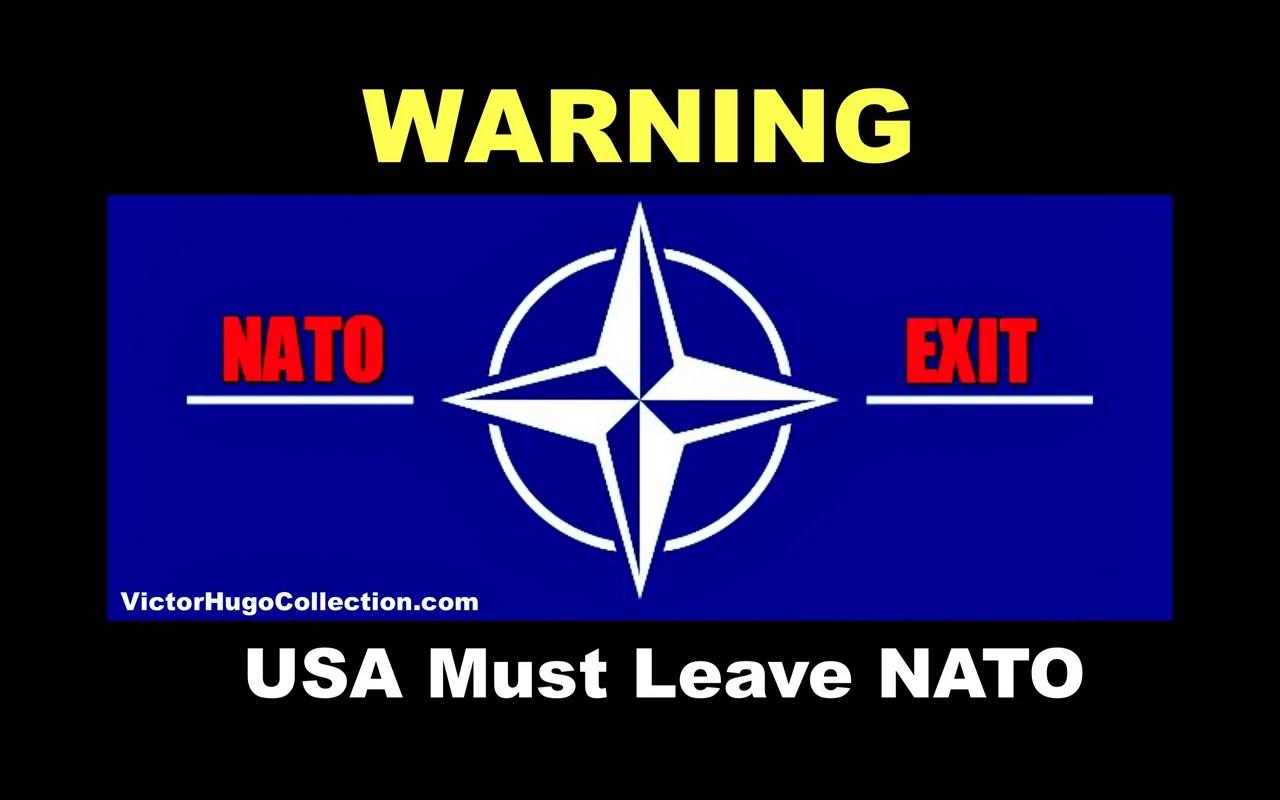 WARNING USA Must Leave NATO Now Vets Warn Russia China Will Destroy ...