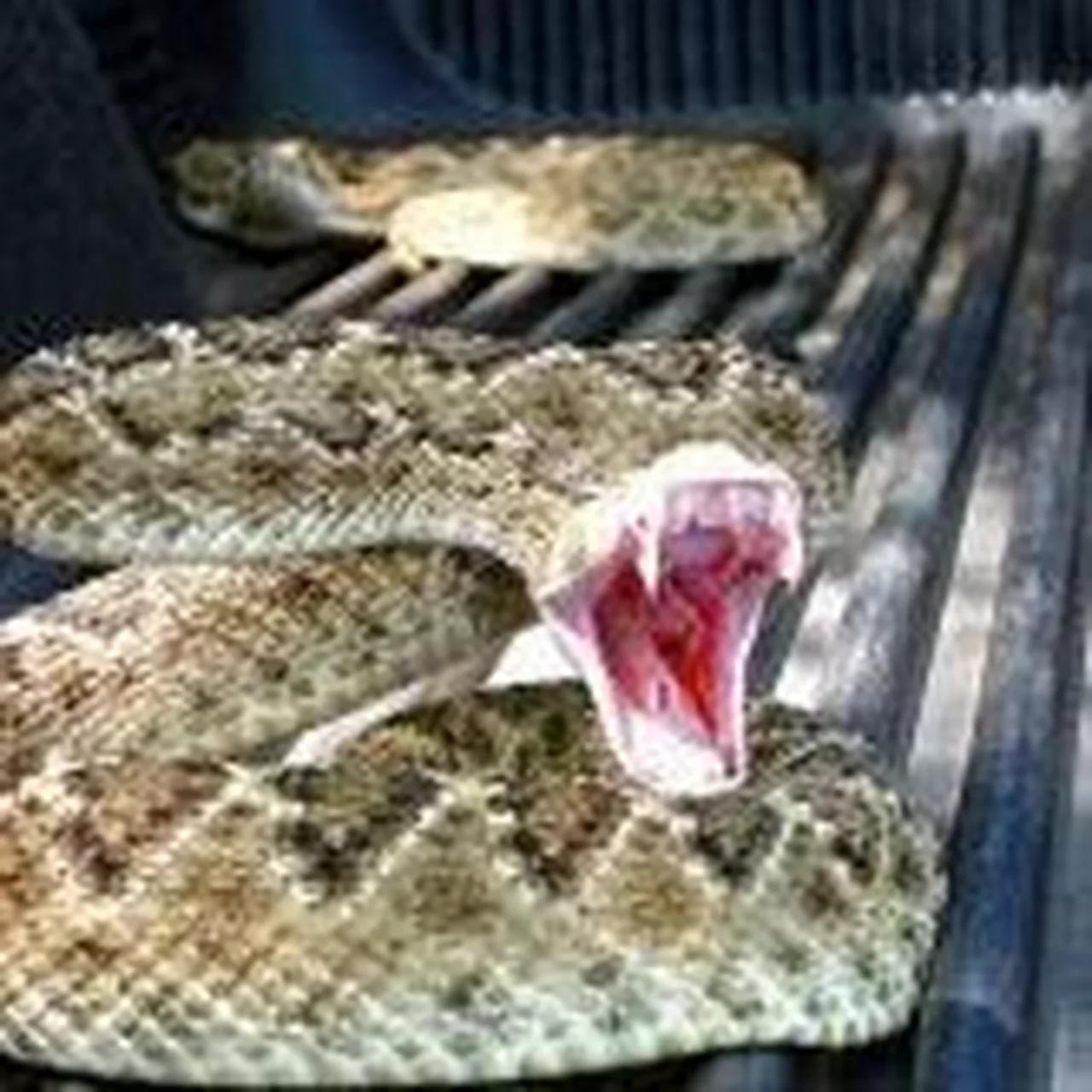 Sandi Adams- Agenda 2030 Part 1