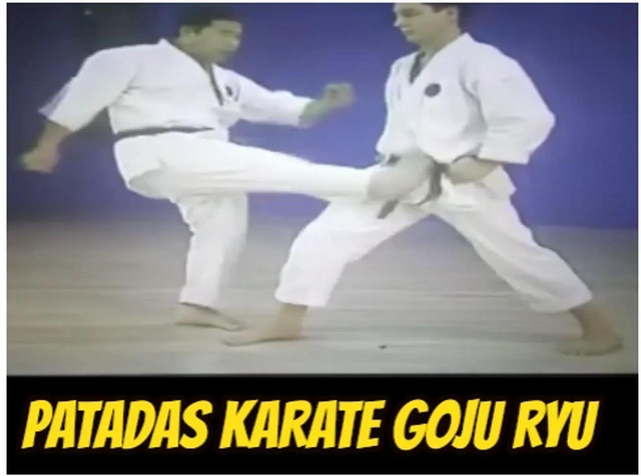 PATADAS KARATE GOJU RYU Sensei HIGAONNA- TUTORIAL