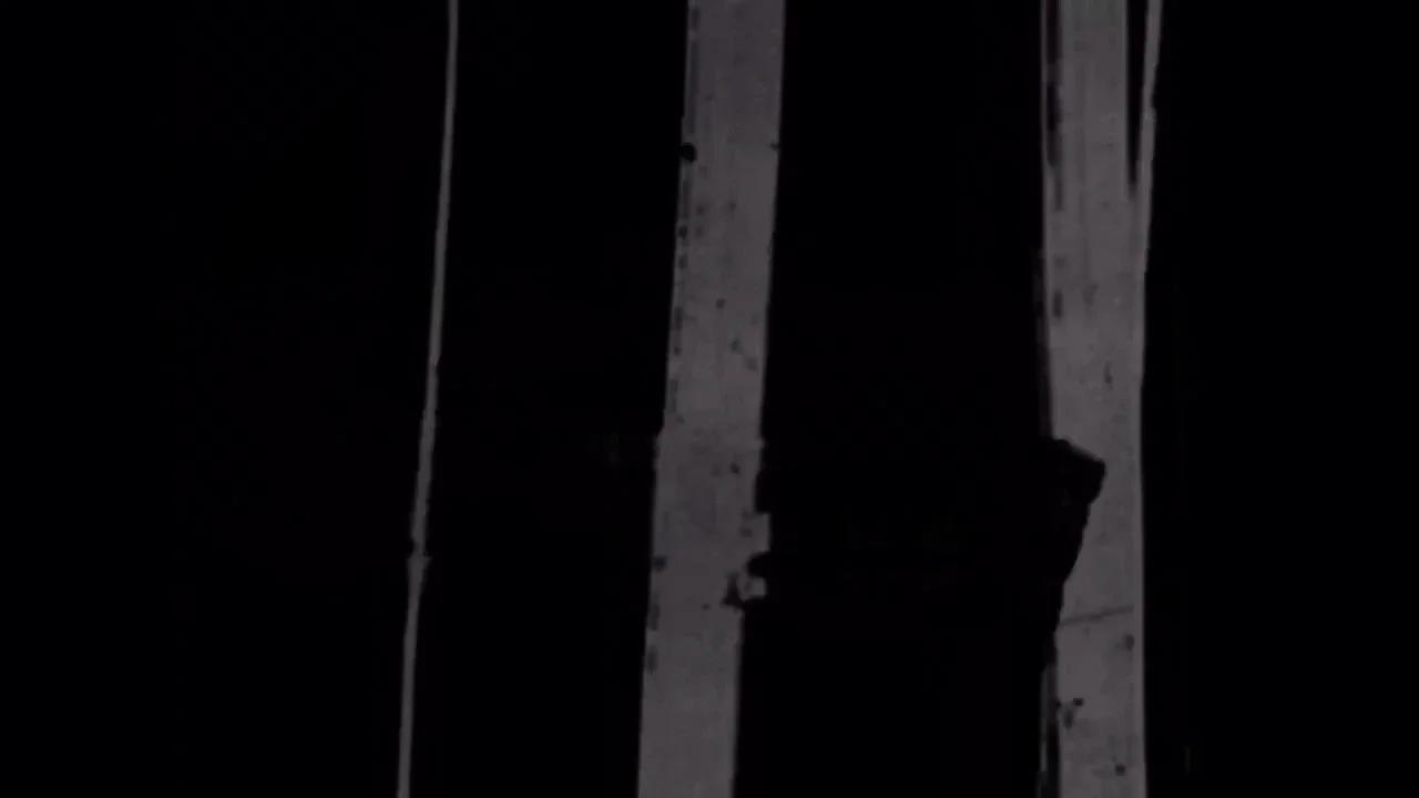 The Smile “The Smoke (16mm film)”