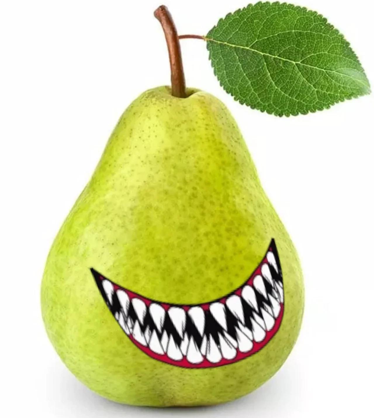 Fall ROT! Aggressives BRD-Besatzungsregime vs. DDR 1961- Rüdiger ...