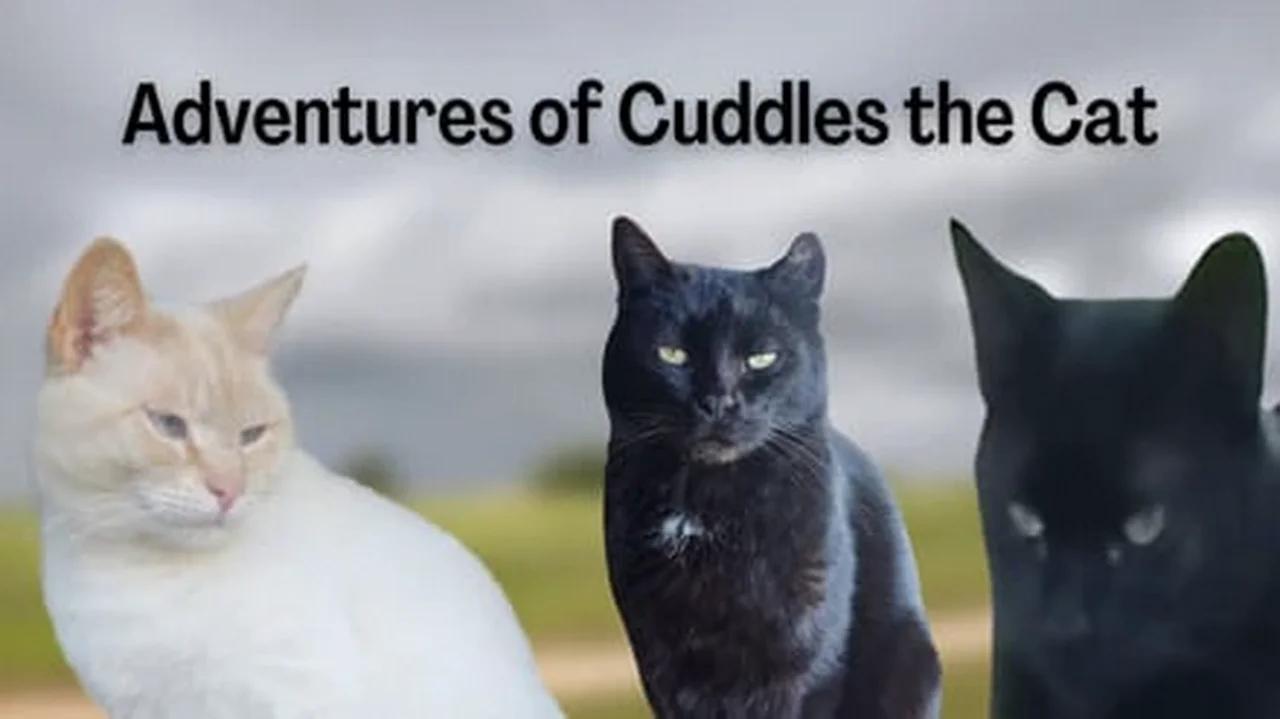 Adventures of Cuddles the Cat