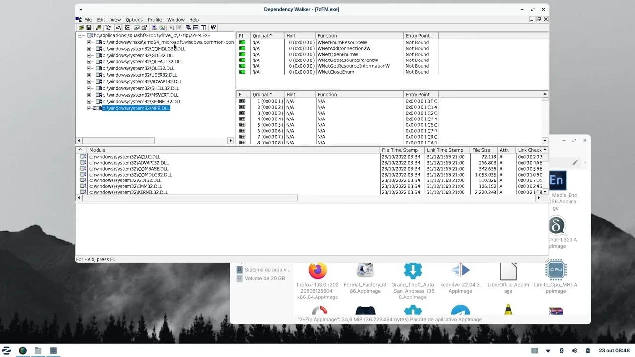 Dependency Walker 22 Linux. Software empacotado em AppImage. Só baixar e usar.