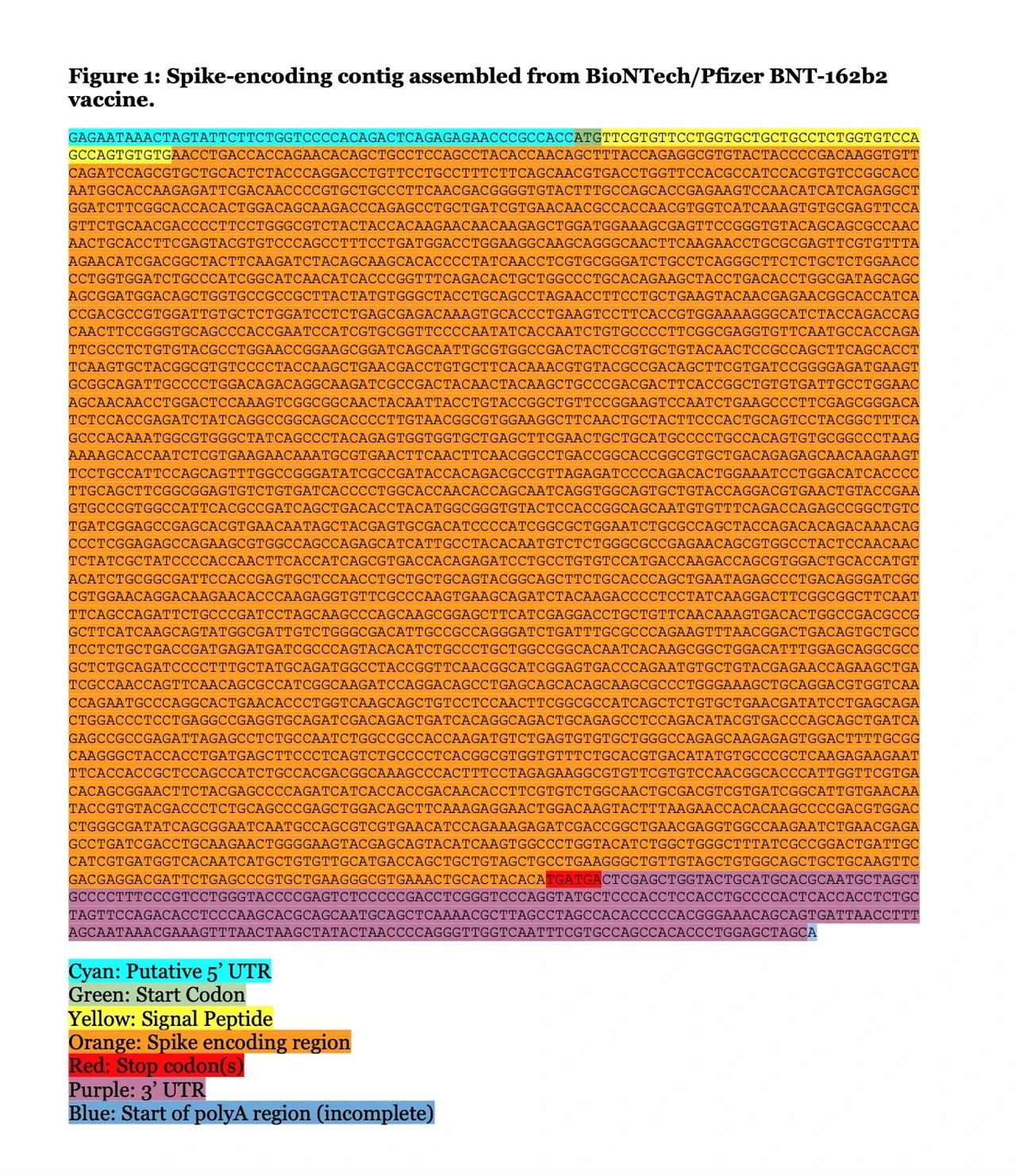 Covid Vaccines - mRNA sequences for BNT-162b2 and mRNA-1273