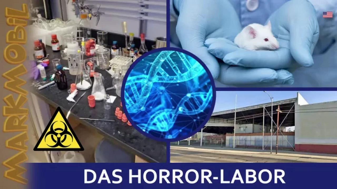 MARKmobil Aktuell - Das Horror-Labor