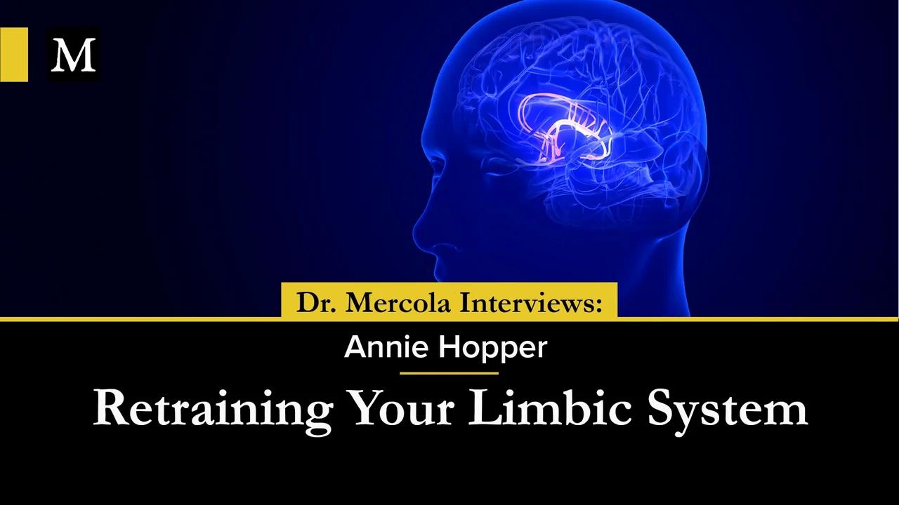 Retraining Your Limbic System — Interview with Annie Hopper