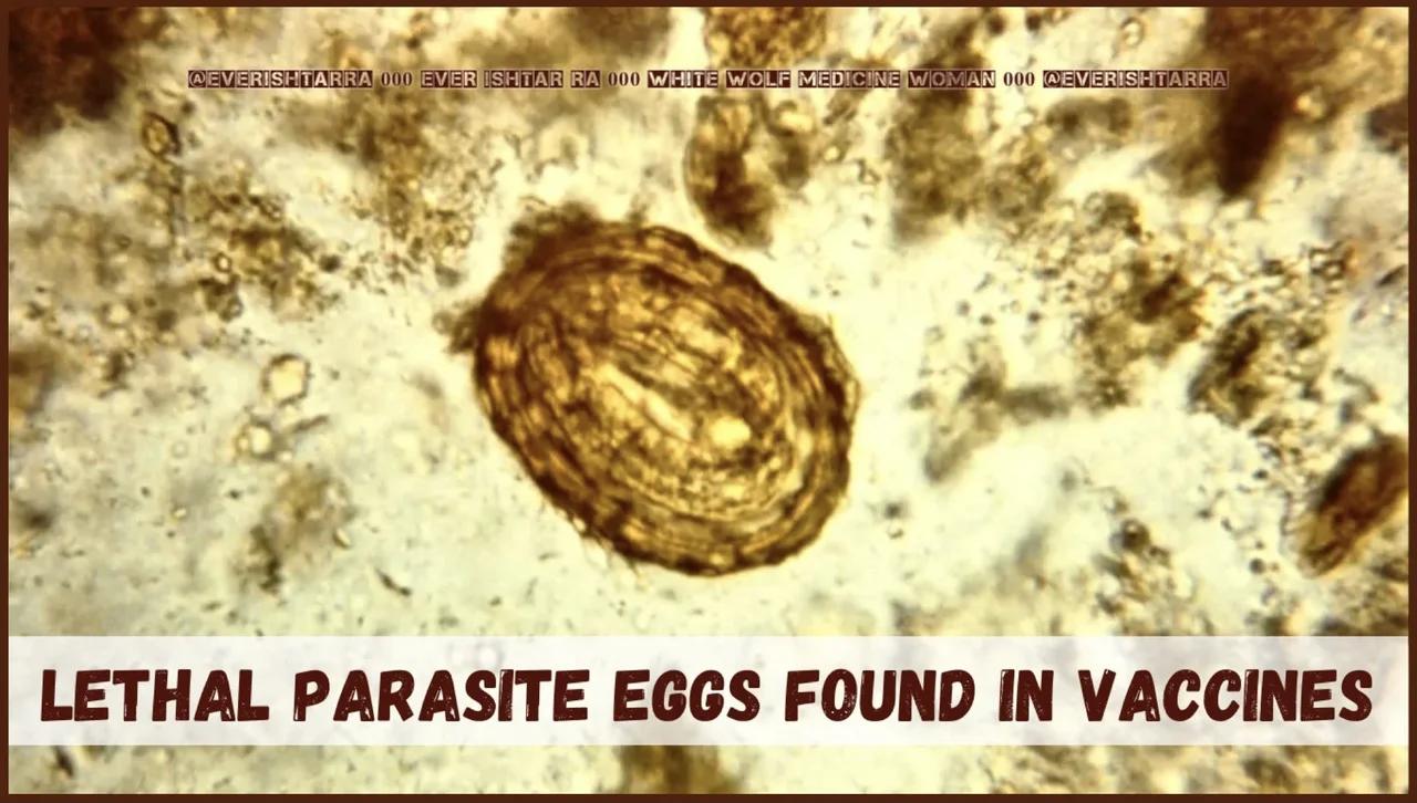 Lethal Parasite Eggs Found in Vaccines, Feb 2022
