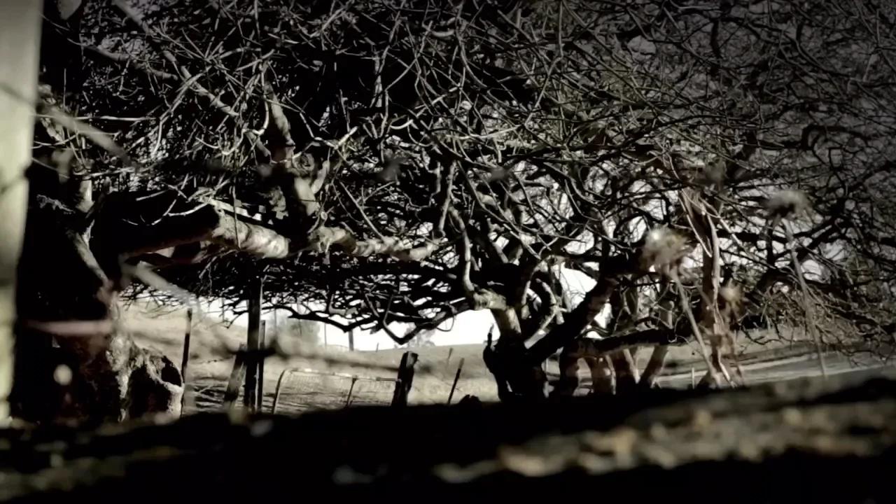 Machine Head “Locust”