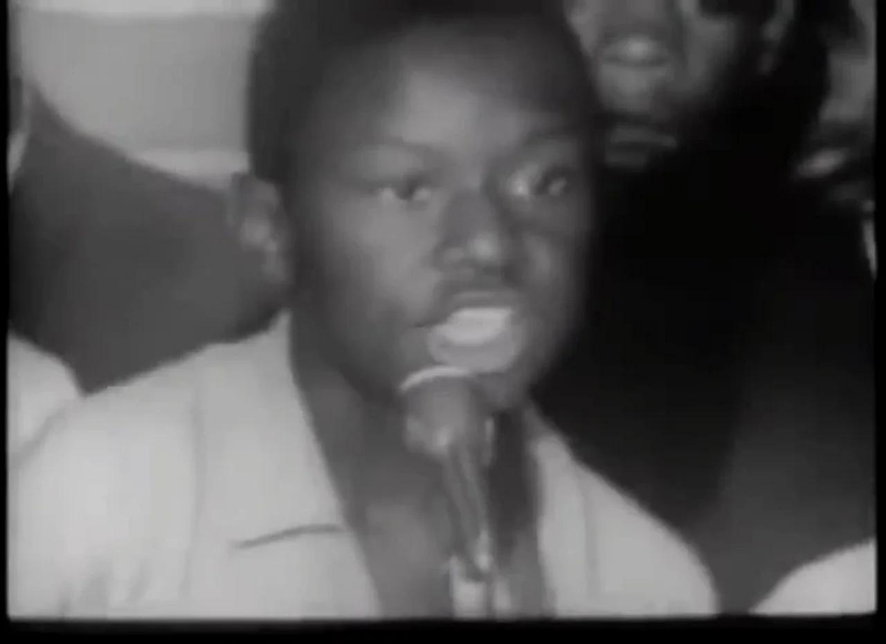 Anarchy U.S.A. – Jewish Communism Behind the Civil Rights Movement