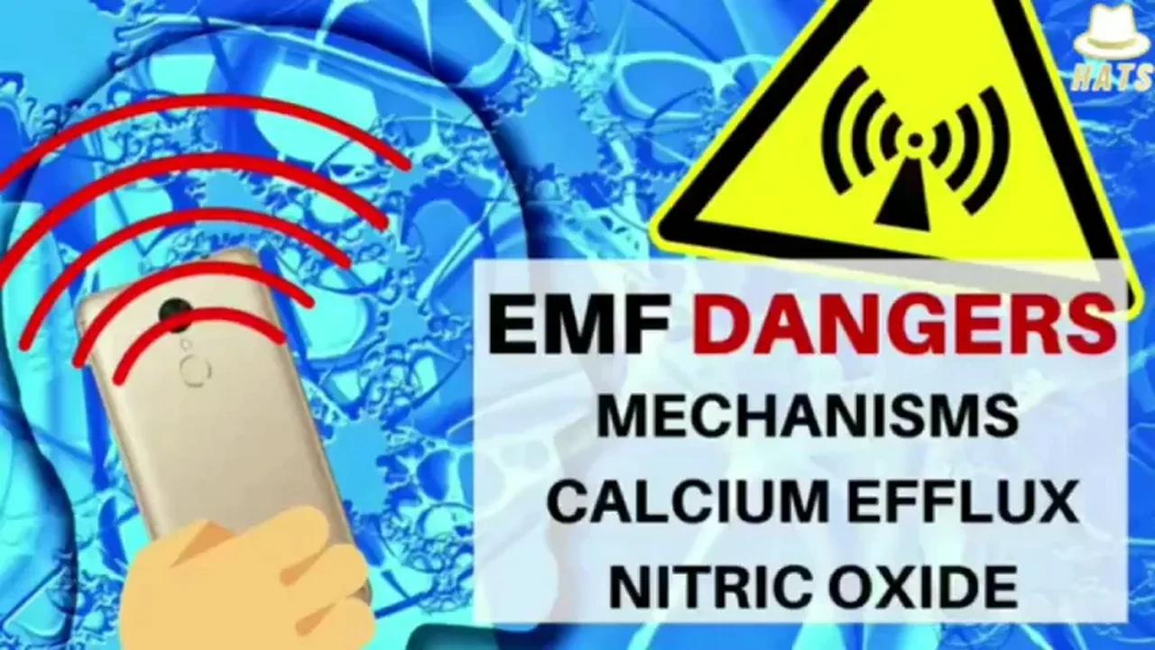 THE INVISIBLE RAINBOW A History Of Electricity