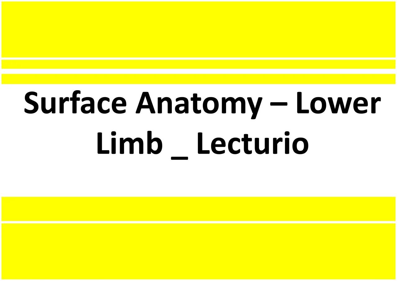 Surface Anatomy – Lower Limb