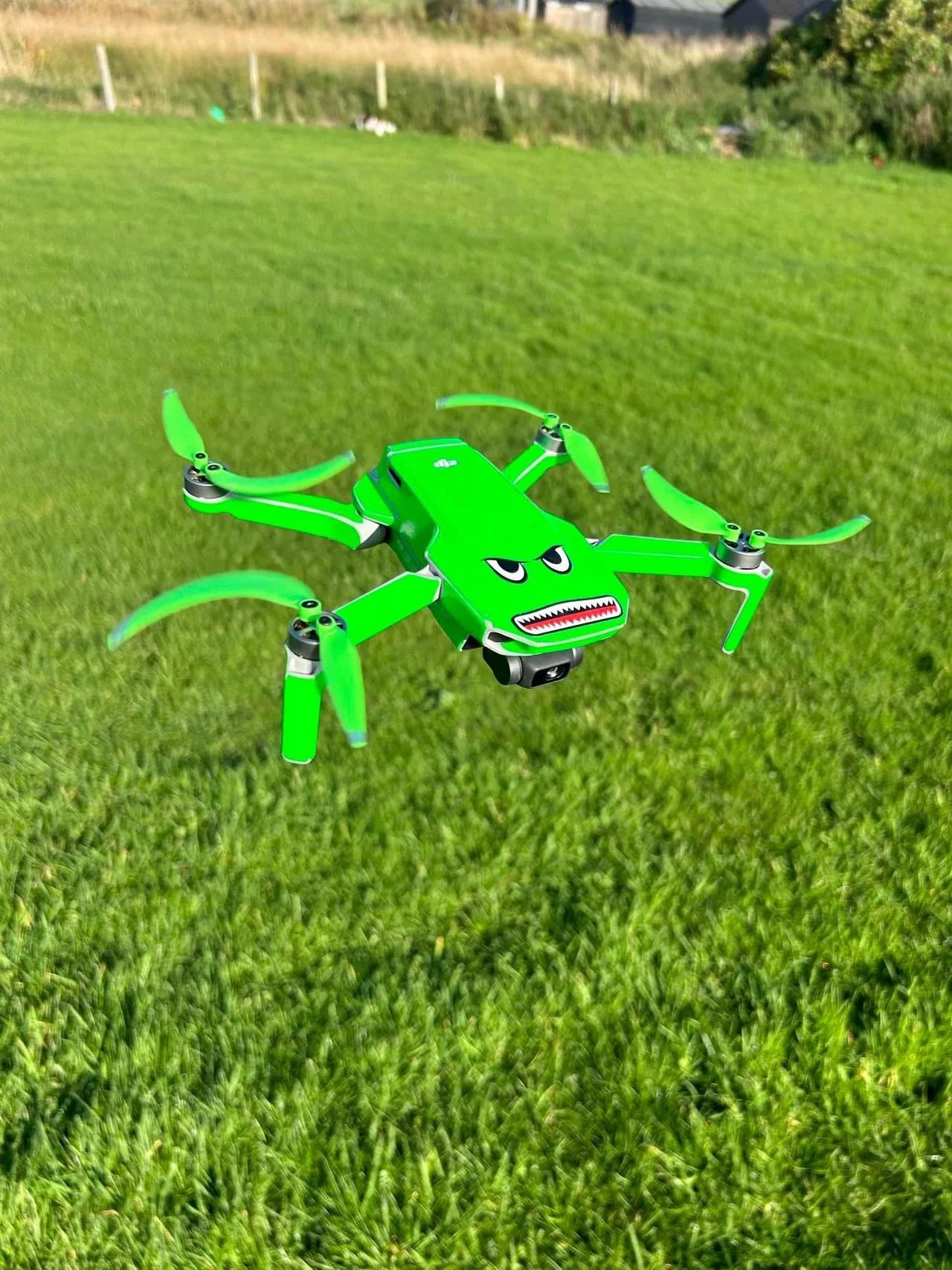 Random Drone Footage Audits