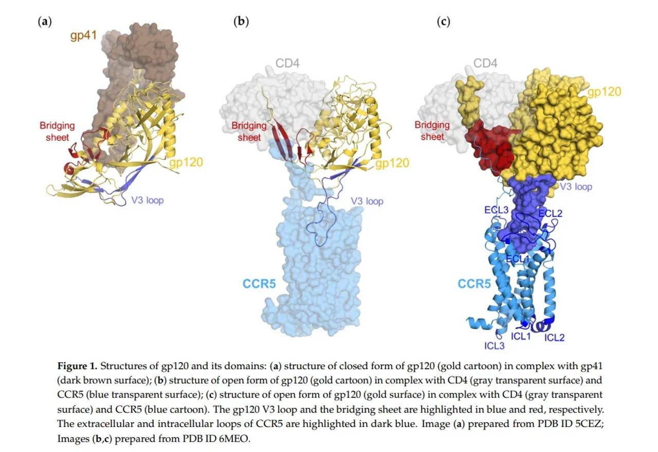 A hypothetical biological pathway that may link SARS CoV 2 vaccinations to giant cell ...