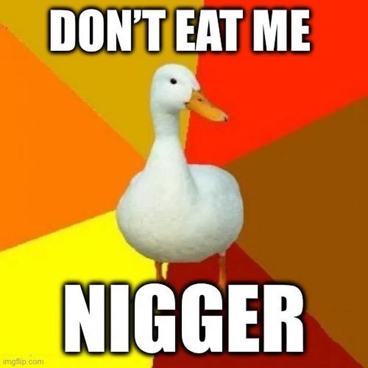 Duck Thursday ( ͡° ͜ʖ ͡°)