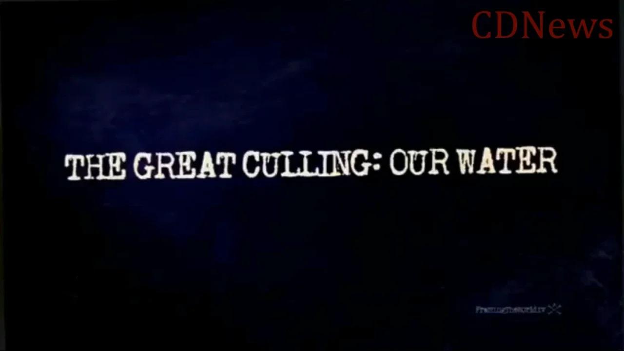 CDNews - The Great Culling ep.1