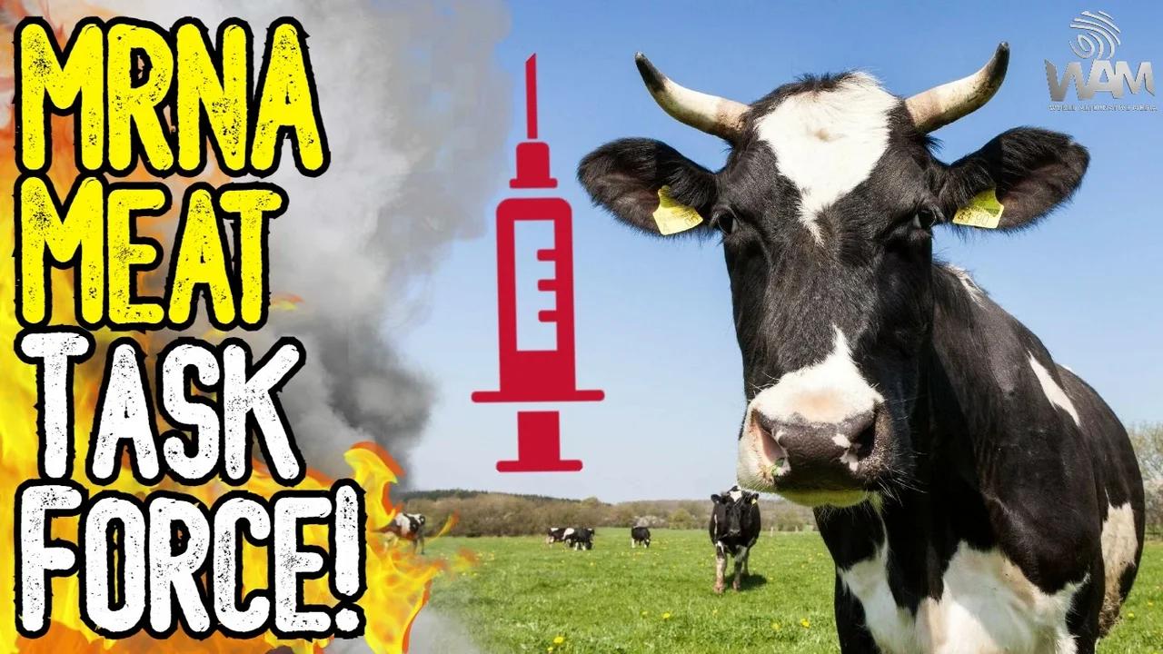 BREAKING: MRNA MEAT TASK FORCE! - Cattlemen's Association Concerned ...