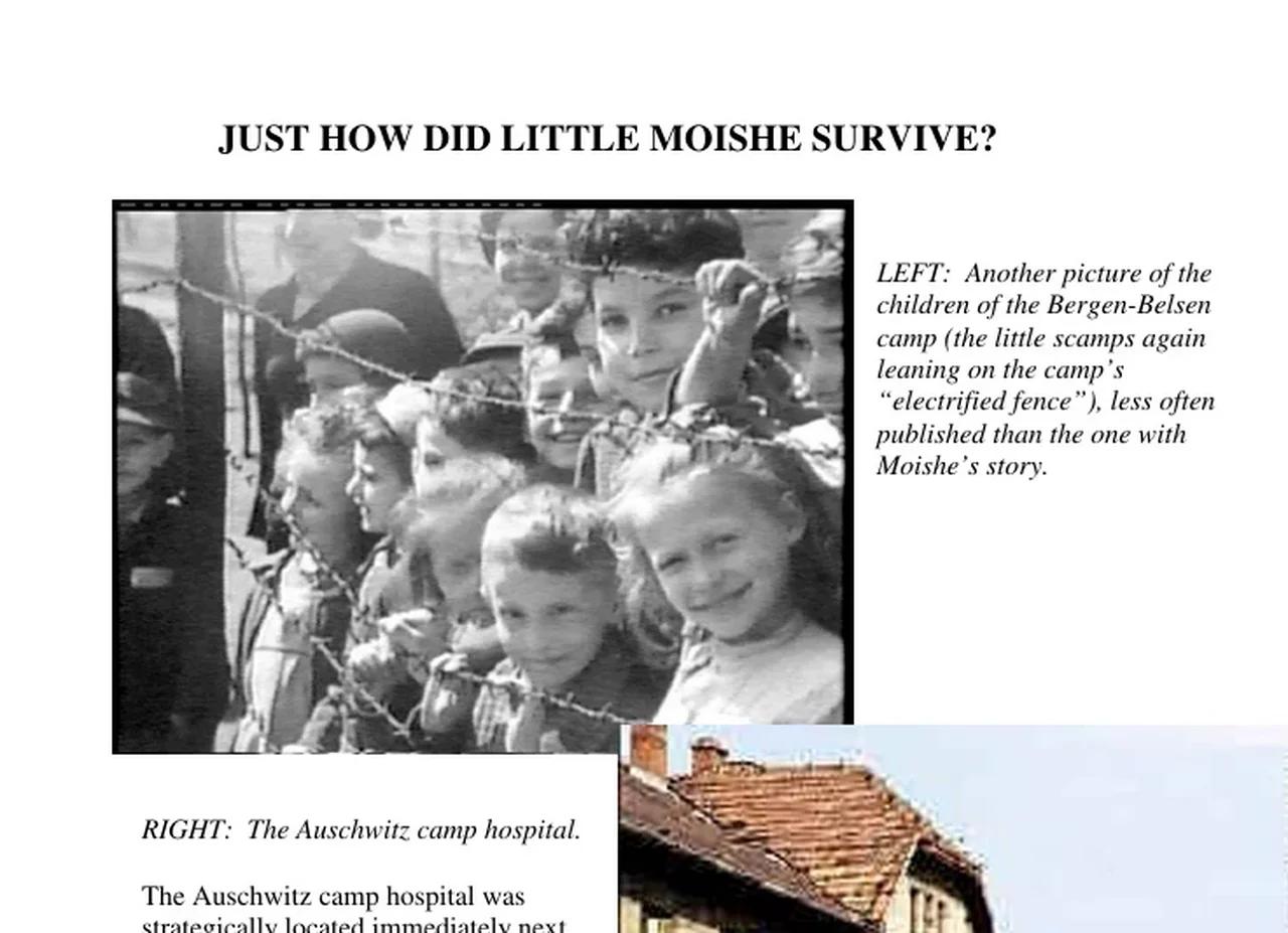 Holohoax Tales - 'Little Moshe Peer Was Gassed Six Times.'