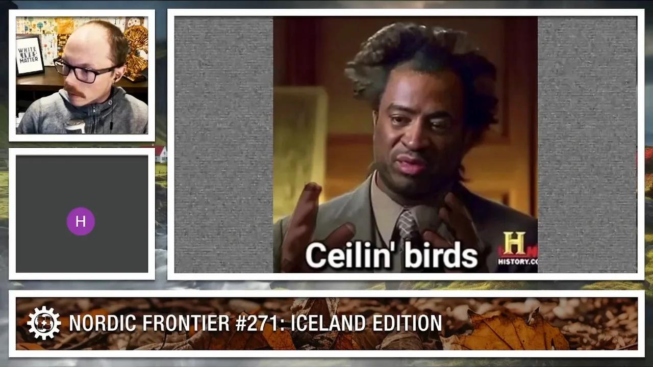 Nordic Frontier Excerpt: Ceiling Birds