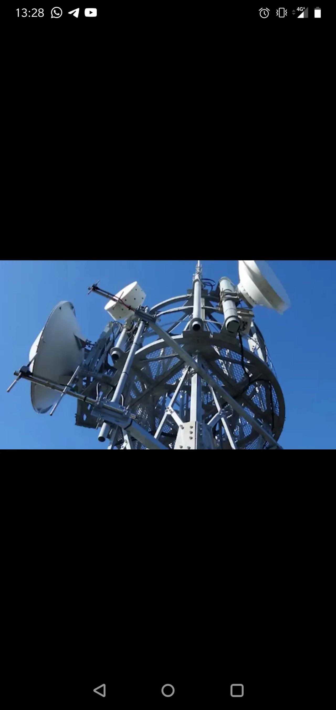 Esperimento con Blatte e 5g