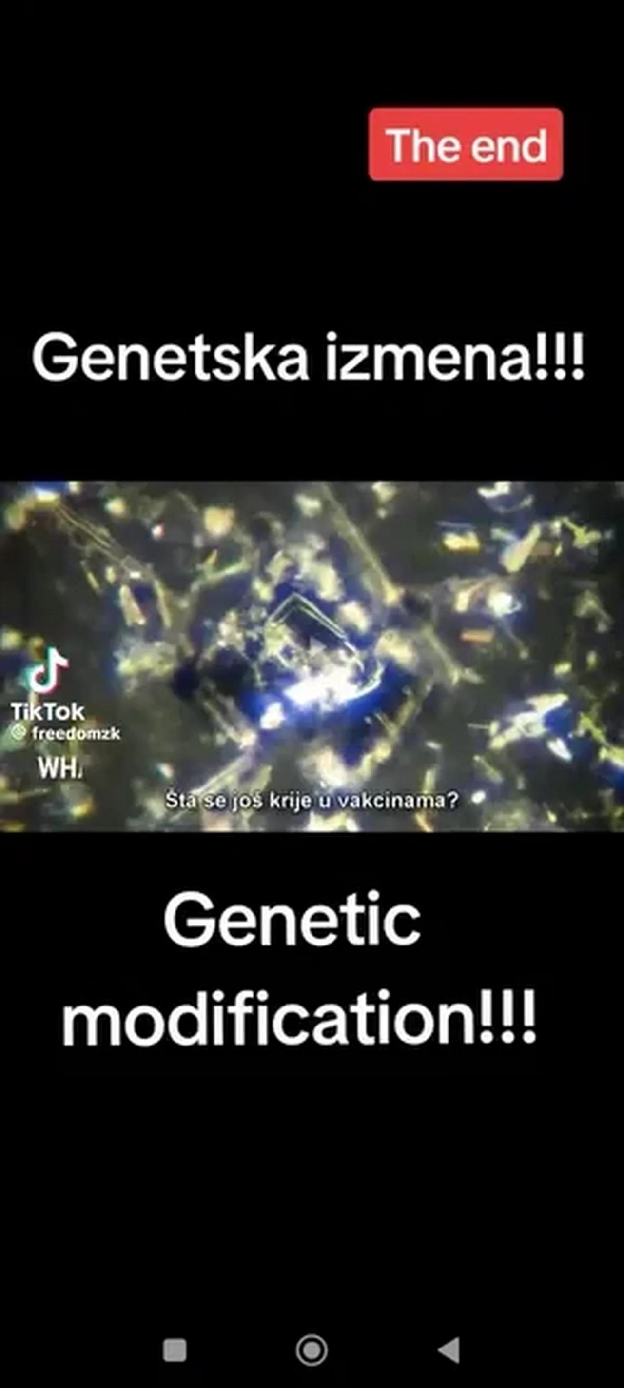 Homoborgenesis (THE BORG)