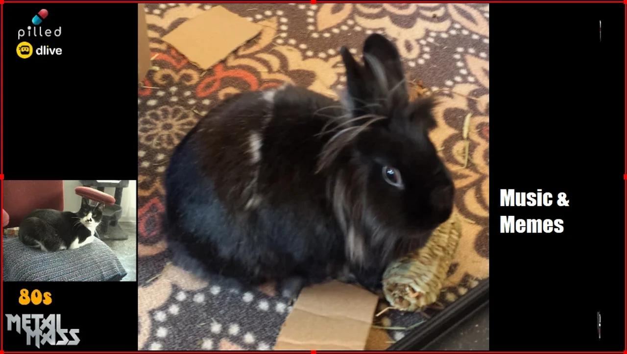 Easter Sunday Metal Mass, 80s Rock & Metal and Memes