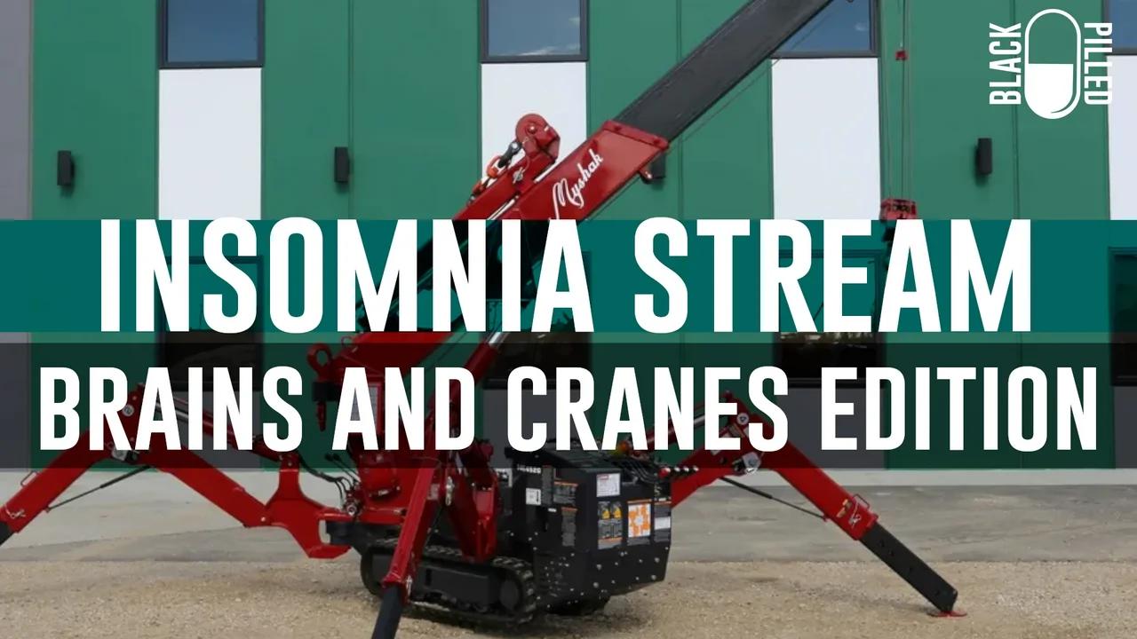 INSOMNIA STREAM: BRAINS AND CRANES EDITION